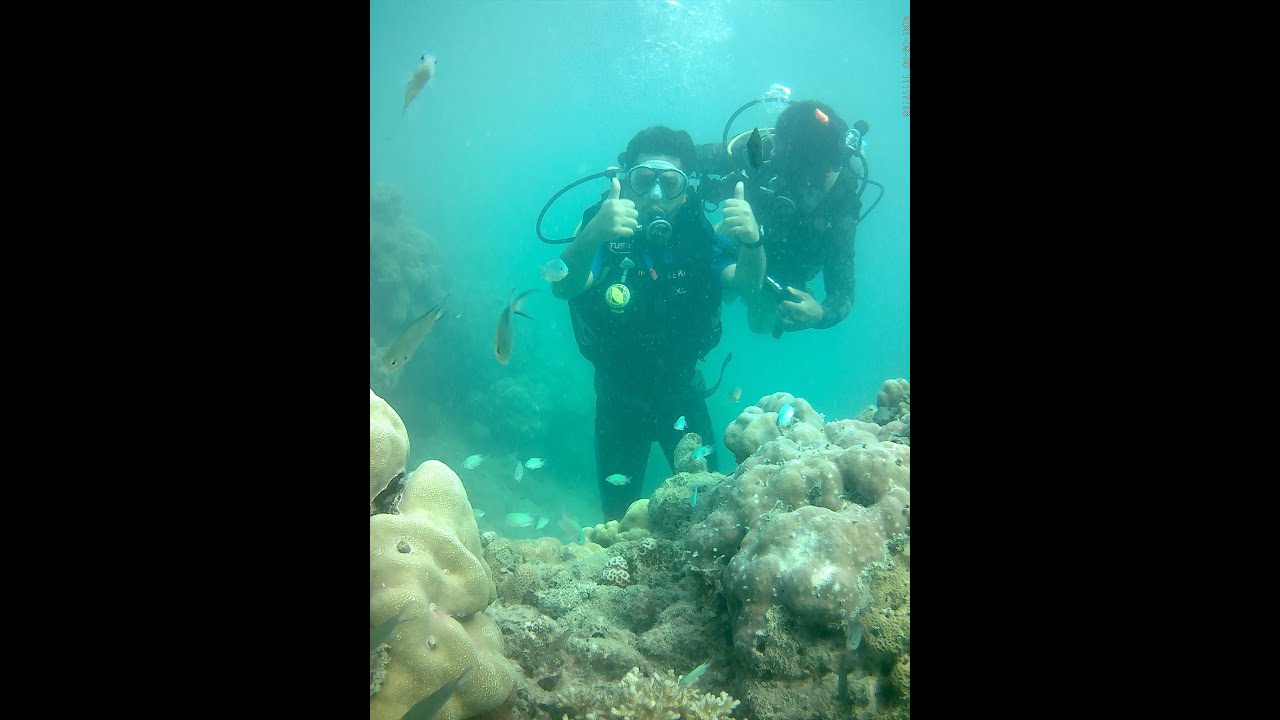 Scuba Dive | Havelock Island | Nemo Beach | Andaman Part I - YouTube
