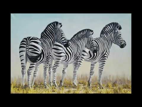 Tswana Traditional Music Makwakwa Molekane - YouTube