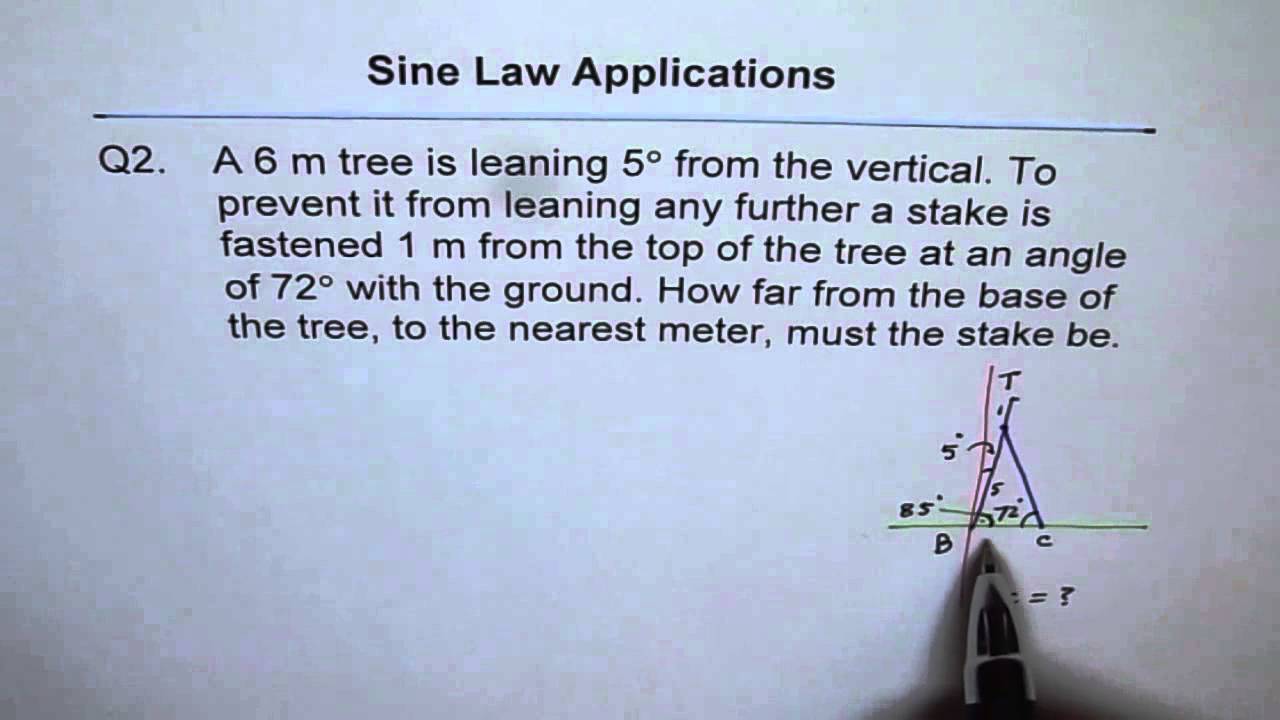 Leaning Tree Sine Law Application Q2 - YouTube