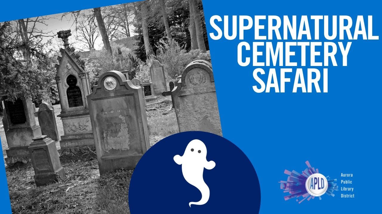 Supernatural Cemetery Safari (10/23/23) - YouTube