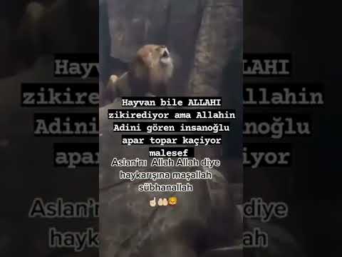 subahanallah aslan allah diyor