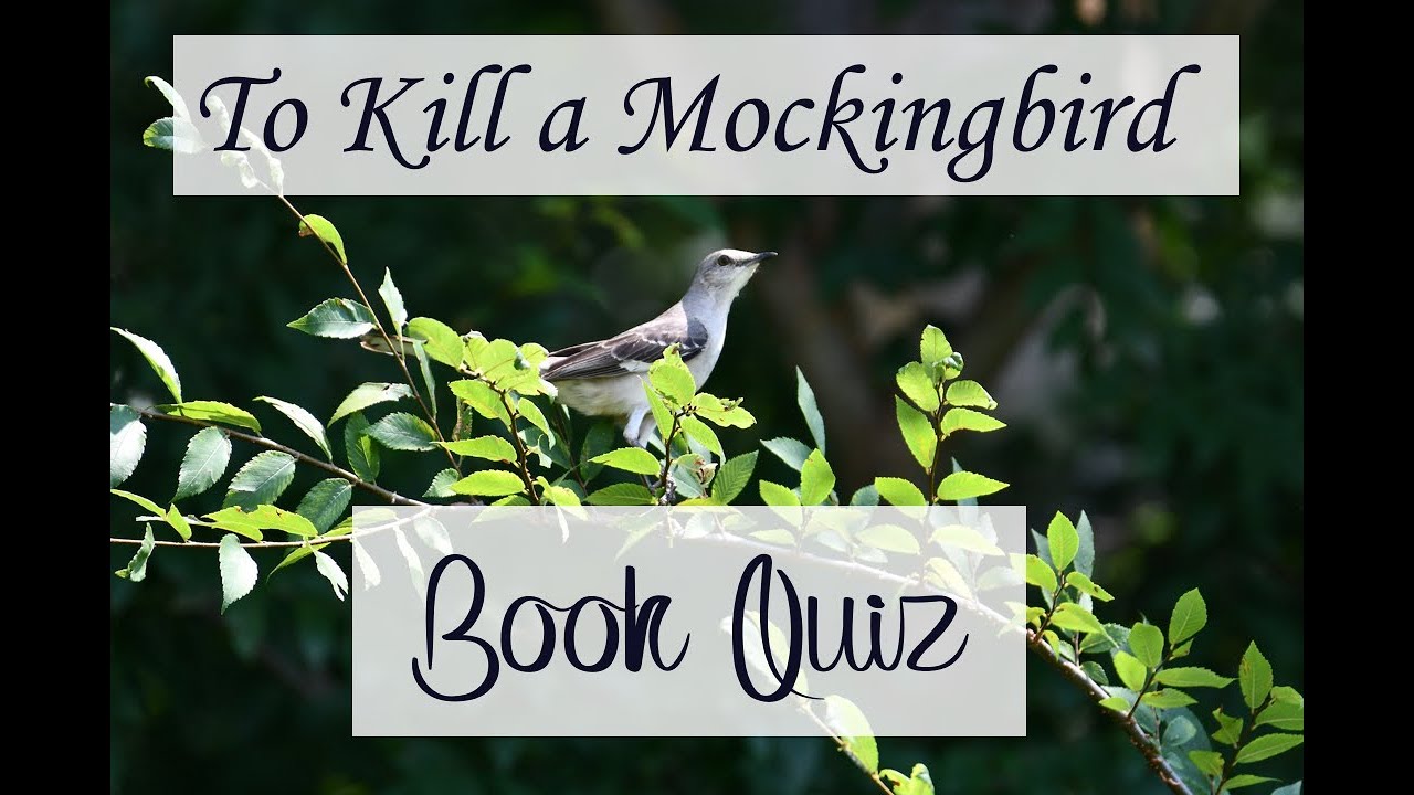 To Kill a Mockingbird | Ultimate Book Quiz - Chapter 1 - YouTube