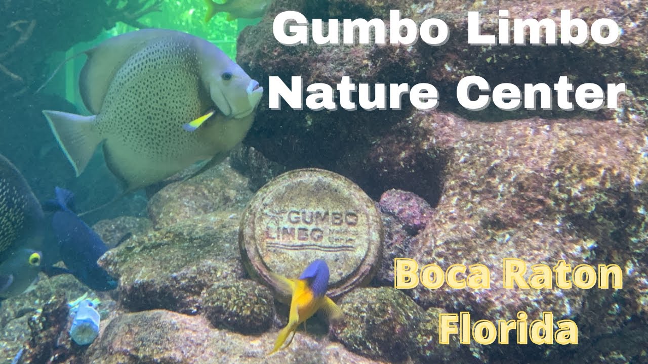 Gumbo Limbo Nature Center Boca Raton, Florida - Turtles, fish ...