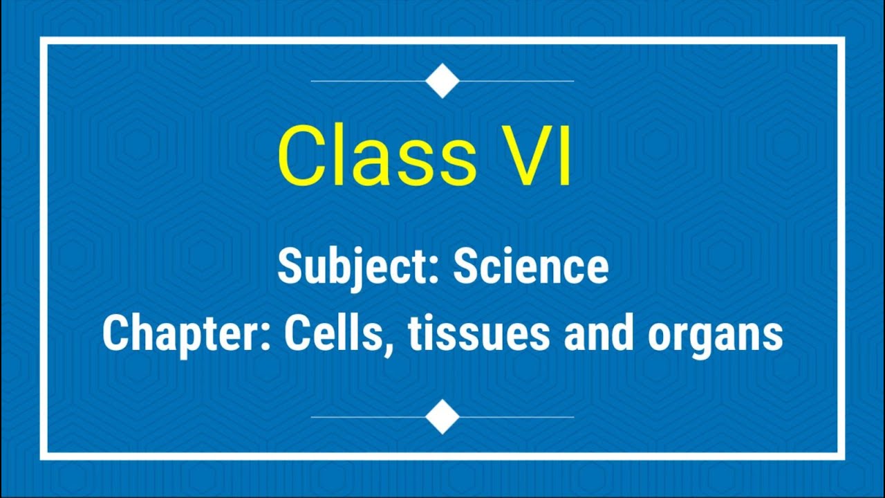 SCIENCE - Class VI | Chapter: Cells, Tissues and Organs | Ms Yasmeen ...