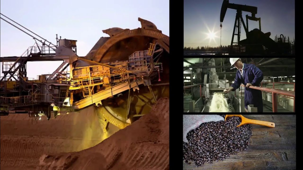 Integre processos de logística e gerencie riscos com o SAP Commodity ...