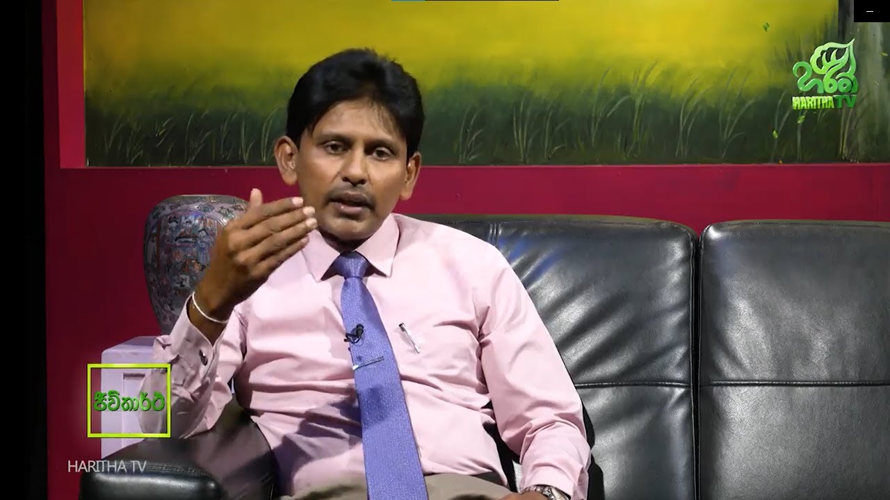 Haritha TV Program 2022.02.25 - YouTube