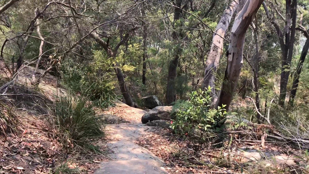 manly dam 2 - YouTube