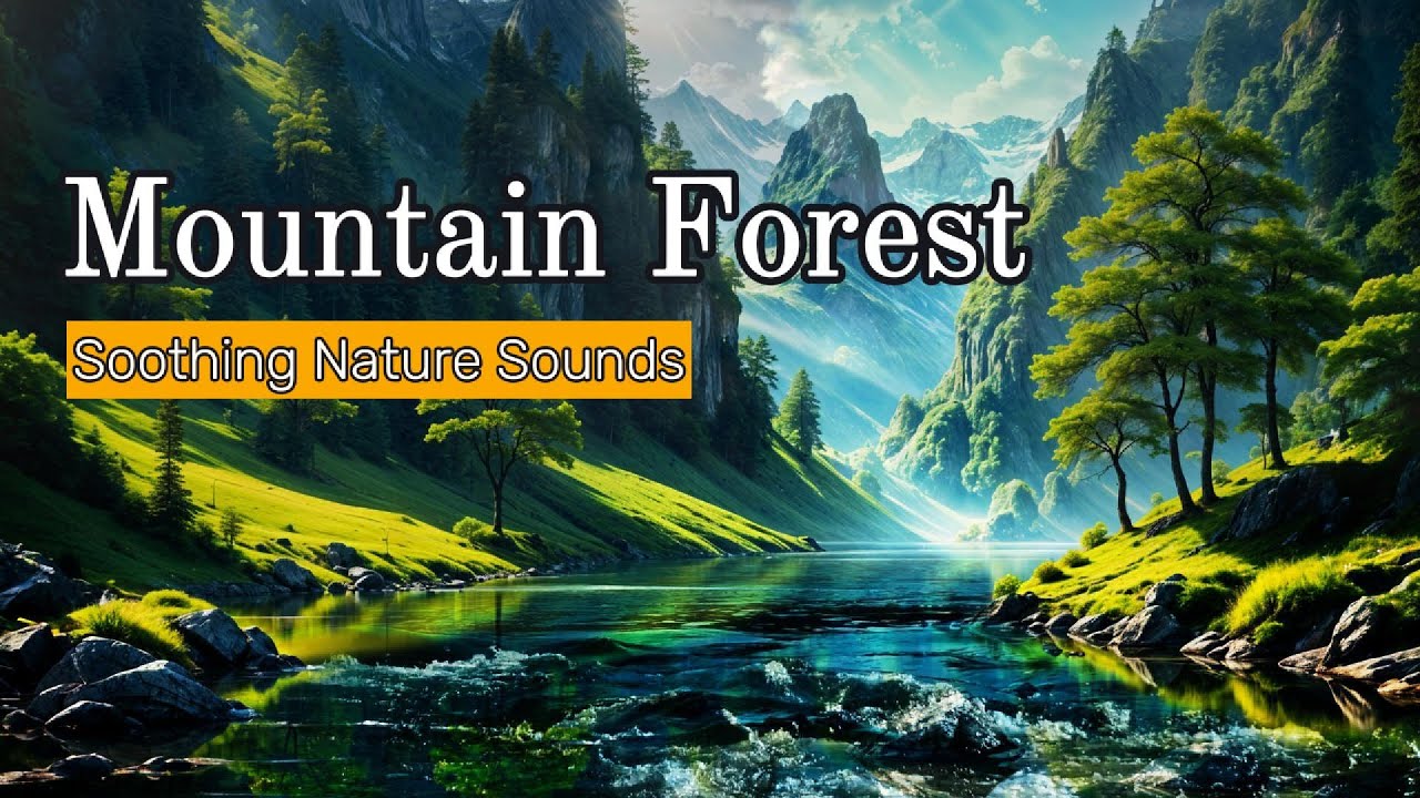 Peaceful Mountain Stream in a Forest – Relaxing Nature Sounds for Deep ...