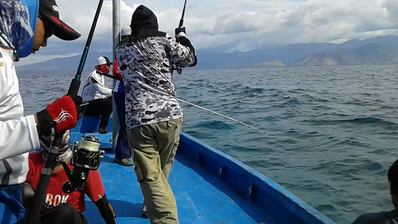 GT Popping fishing with GFT - YouTube