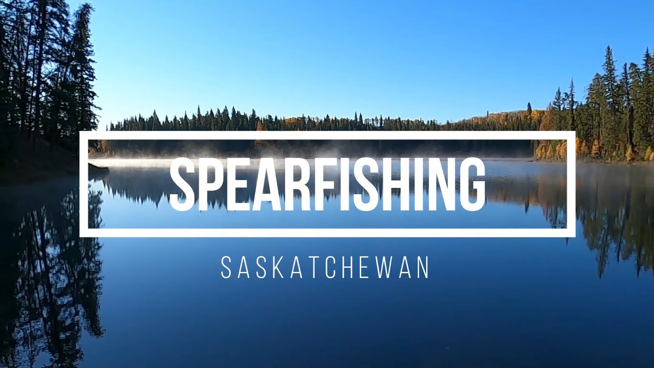 FRESHWATER Spearfishing TROUT at the GEM LAKES in Saskatchewan, Canada ...