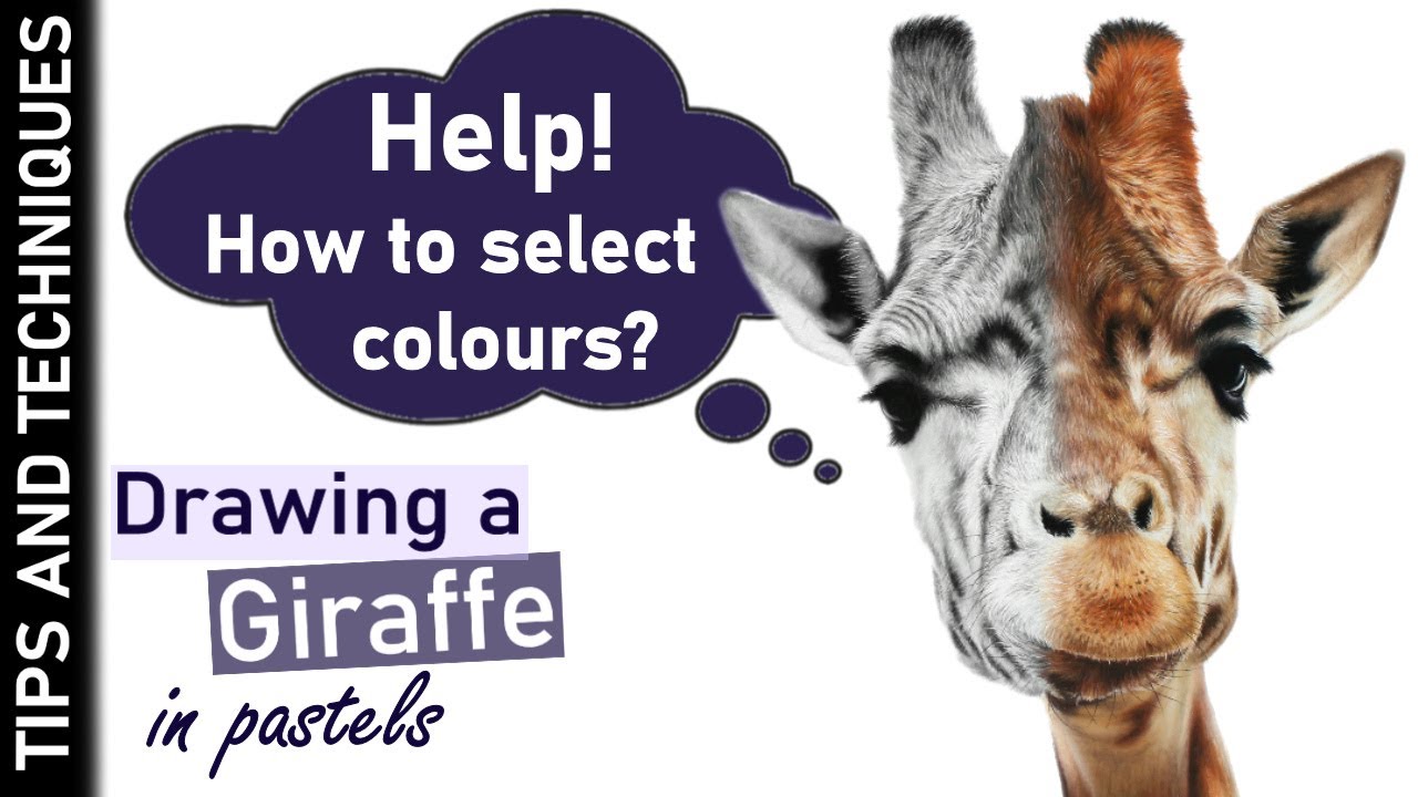 How to draw a Giraffe in pastels | Selecting colours made easy - YouTube
