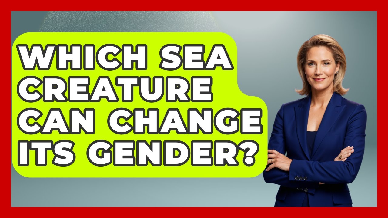 Which Sea Creature Can Change Its Gender? - Gender Equality Network ...