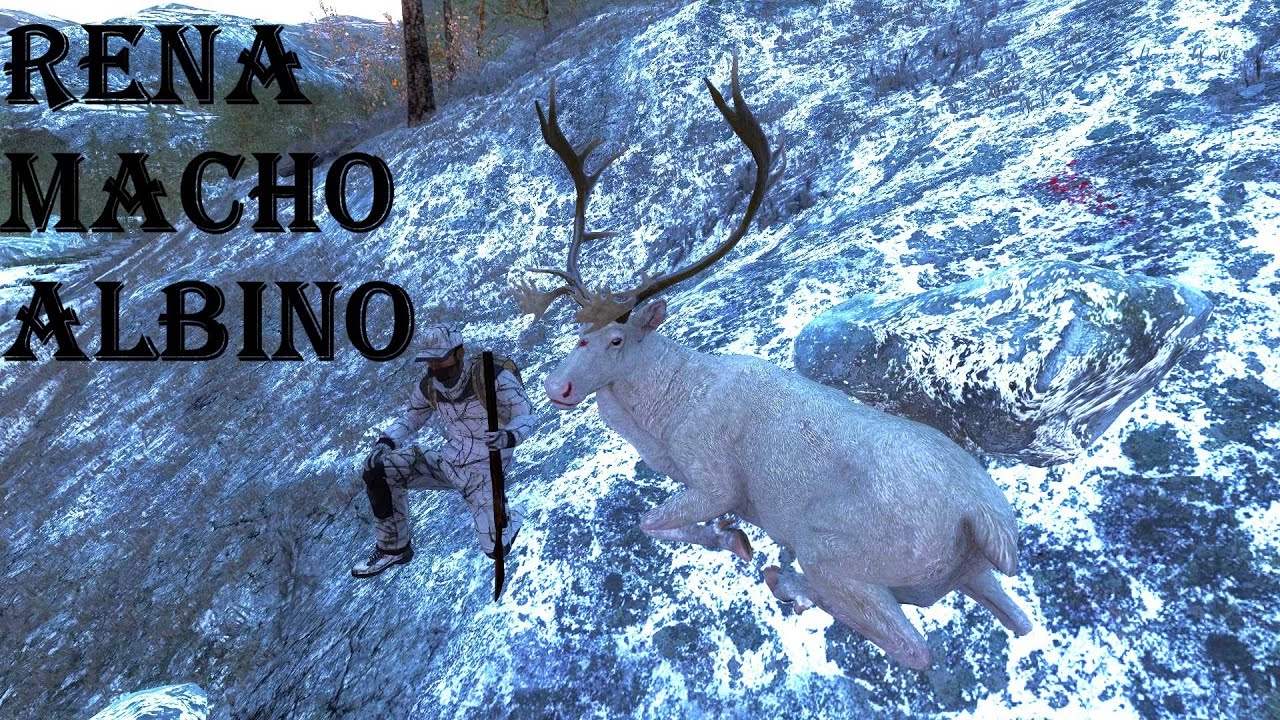The hunter classic, rena macho albino - YouTube