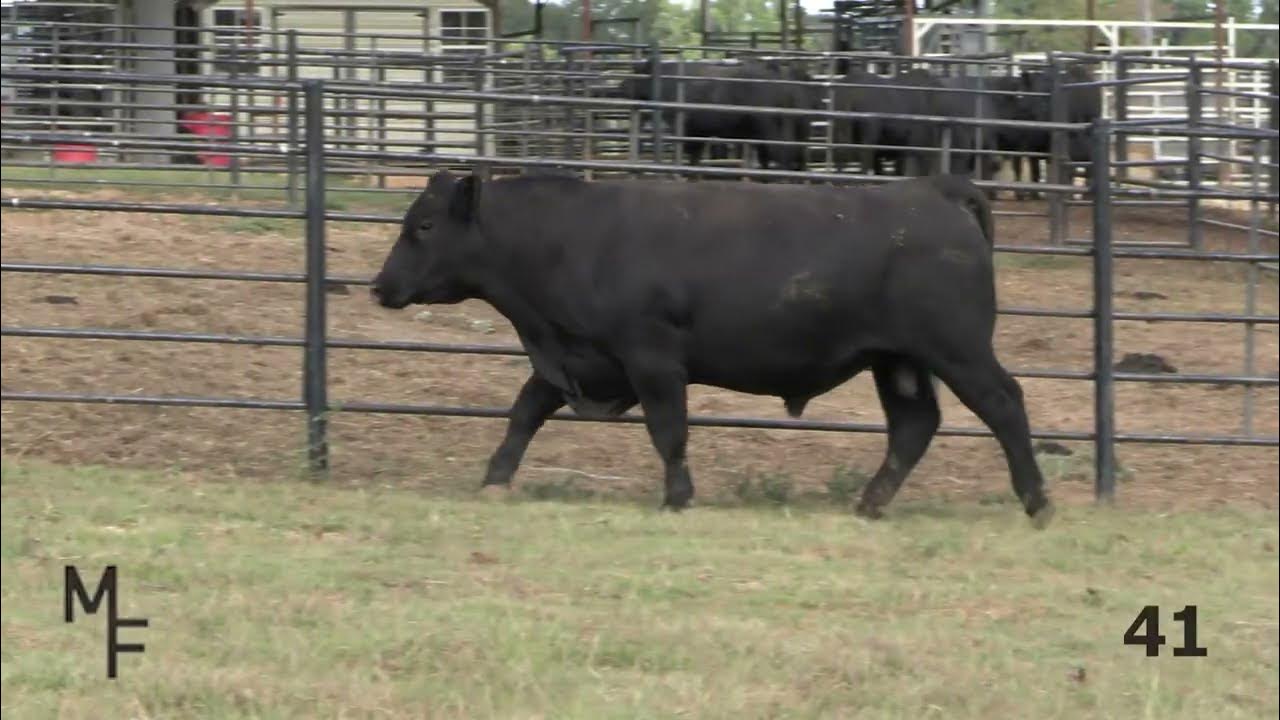 McCloud Farms Lot 41 - YouTube