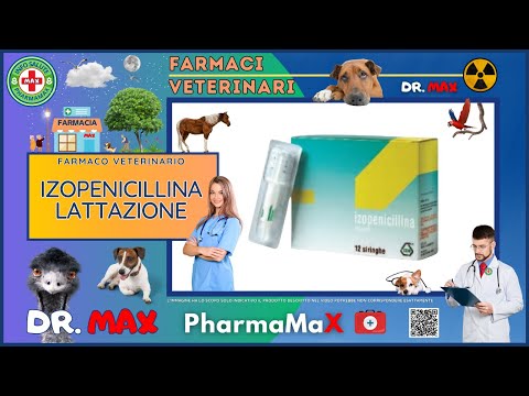 🐶 IZOPENICILLINA LATTAZIONE Farmaco Veterinario a cosa serve ? - Foglietto Illustrativo Salute