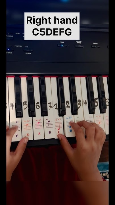 Right hand CDEFG / tutorial piano/ #piano #pianolessons #practicepiano ...