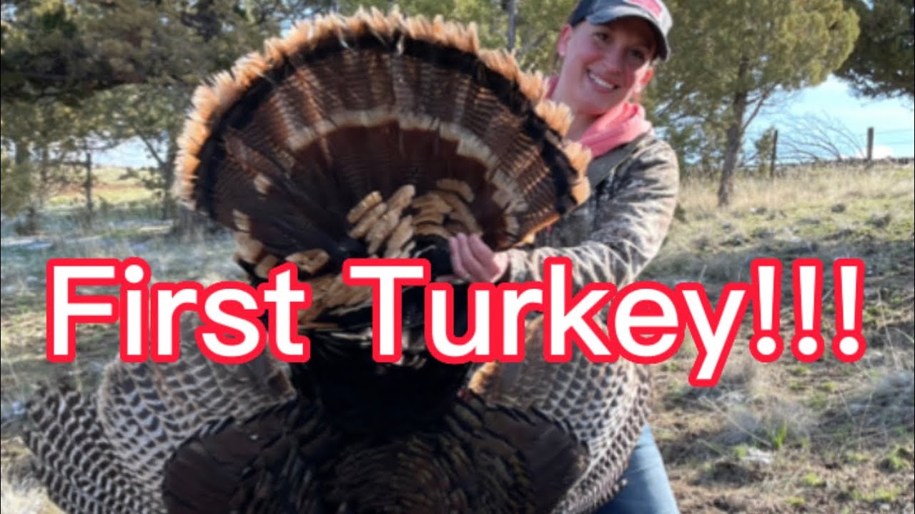 First Turkey! - YouTube