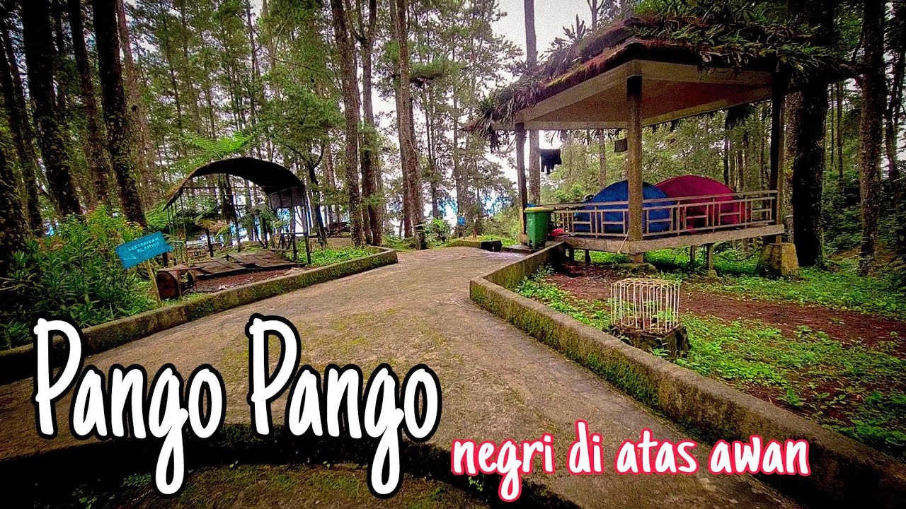 Pango Pango | Toraja - YouTube