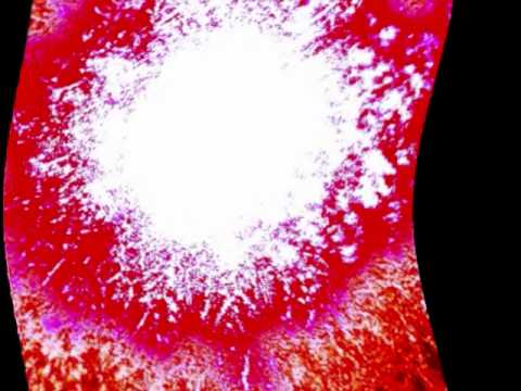 star of adam 1 - YouTube