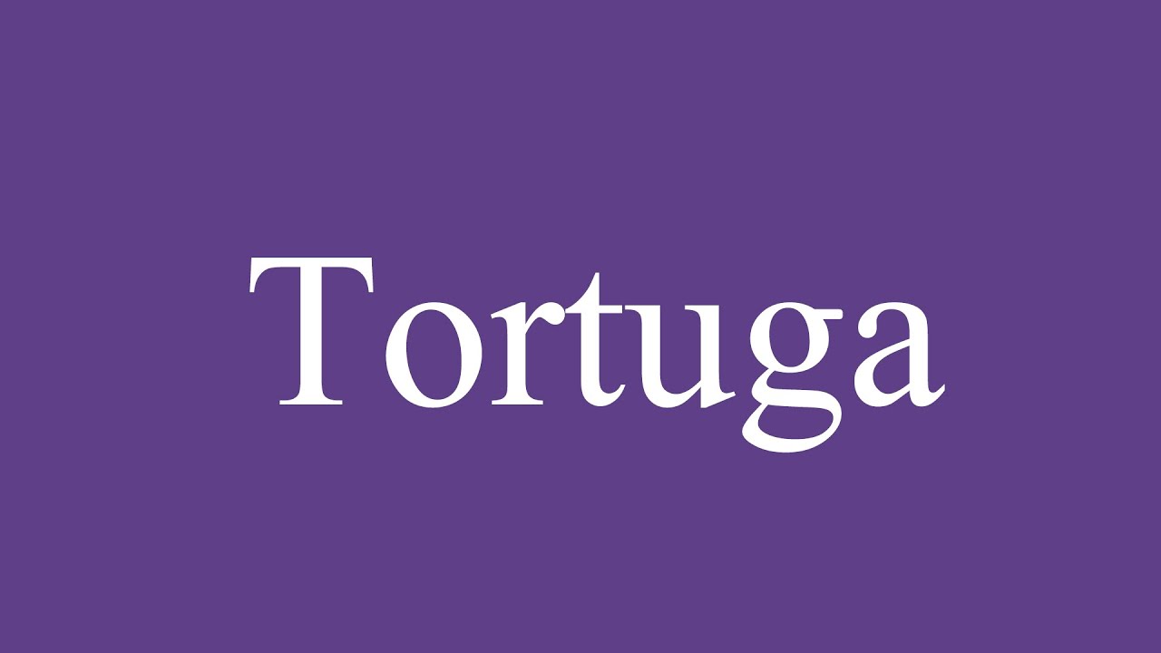 Como Pronunciar ''Tortuga'' (Turtle) Correctamente en Español - YouTube