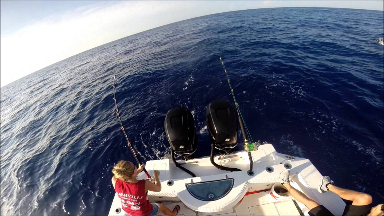 marathon tuna slaying - YouTube