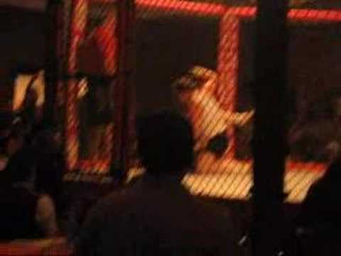 WOMENS SUPER HEAVYWEIGHT - YouTube