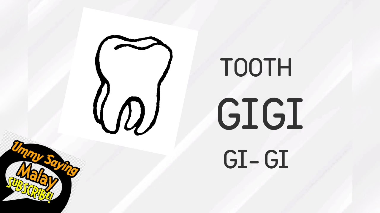 Tooth - Gigi (Malay Pronounce / Body Parts) - YouTube
