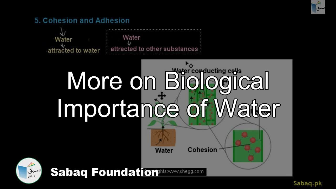 More on Biological Importance of Water, Biology Lecture | Sabaq.pk ...