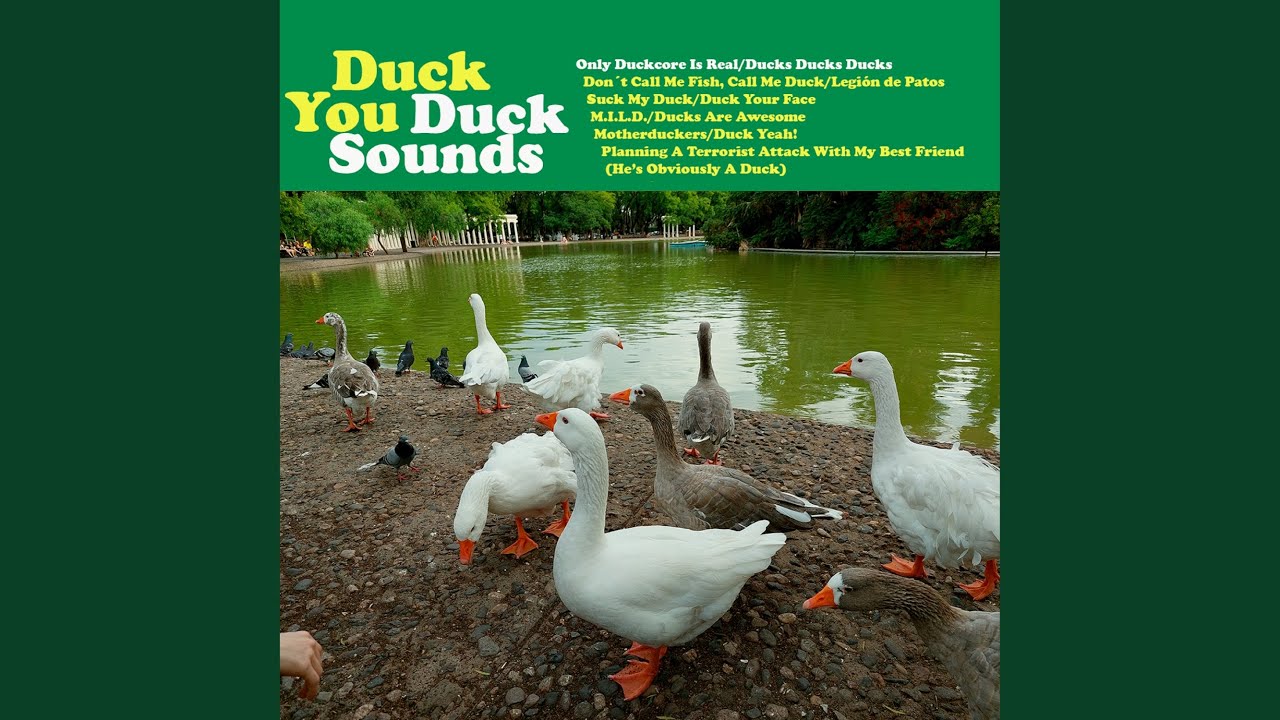 Suck my duck - YouTube
