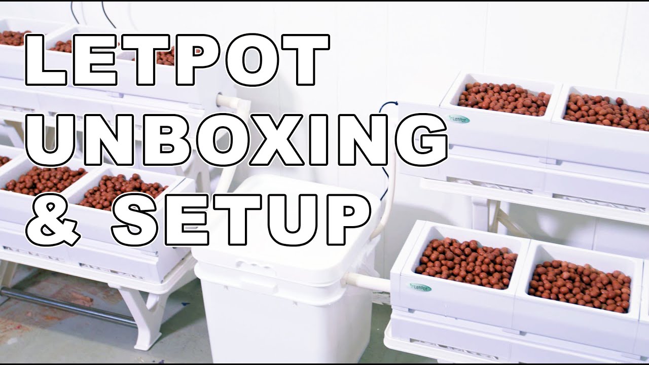 LETPOT Smart Planter Hydroponics Kit Unboxing and Setup - YouTube