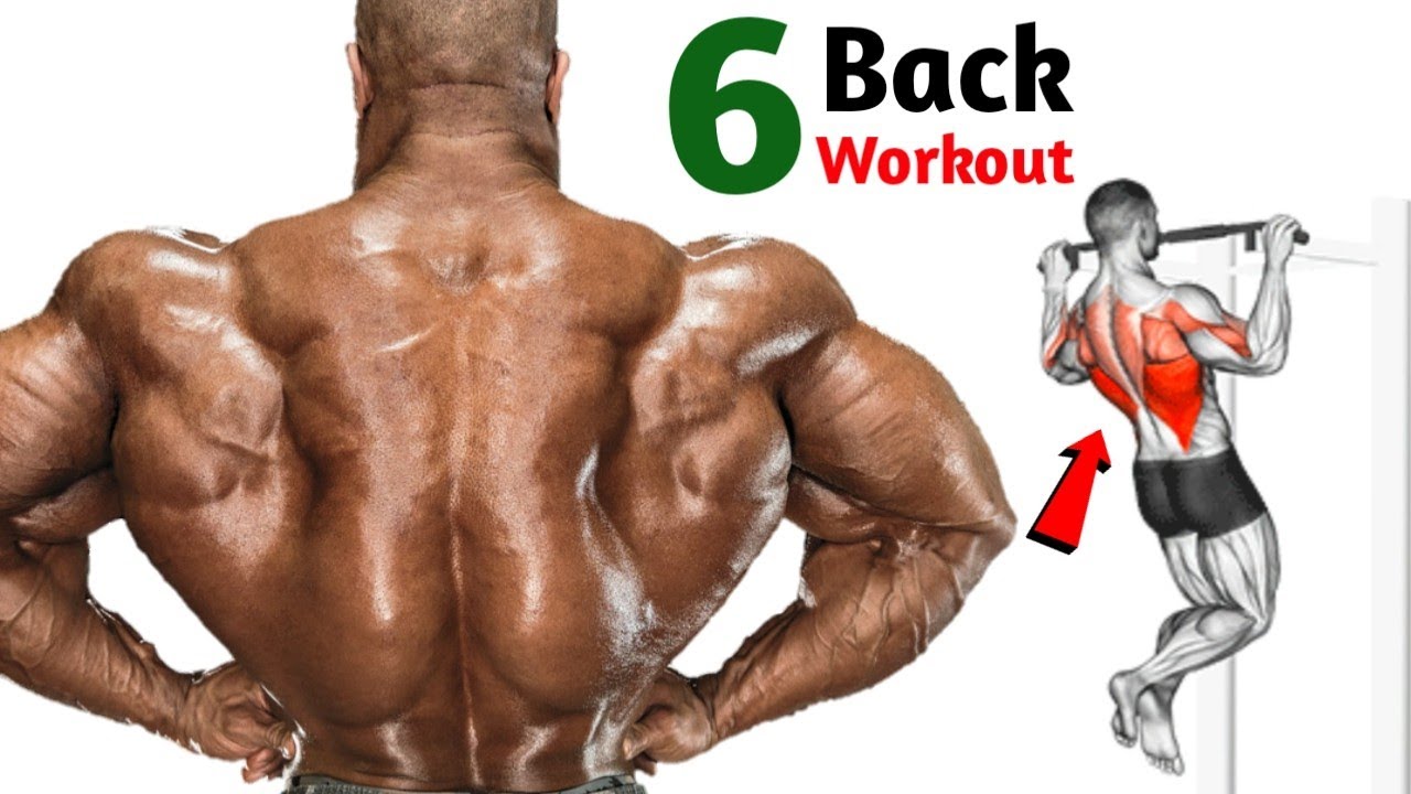 6 Most Effective Back Workout At GYM | Best Back Workout at gym | Back ...