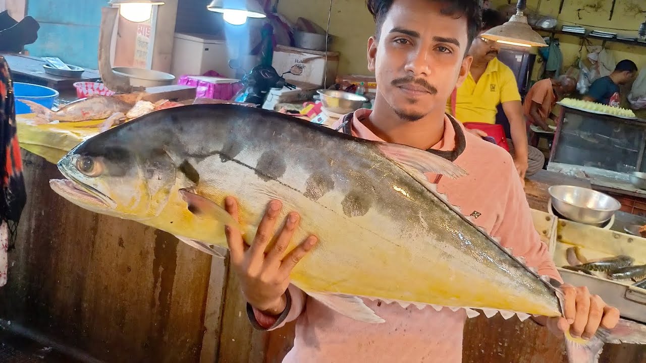 Big Paira Fish Amazing Fishfry Cutting Skill in West Bengal fish market ...