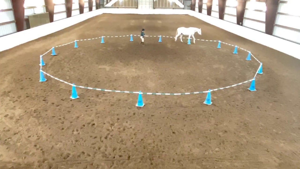 Clicker Training with Horses - Priority to Positive® Nico in the ...