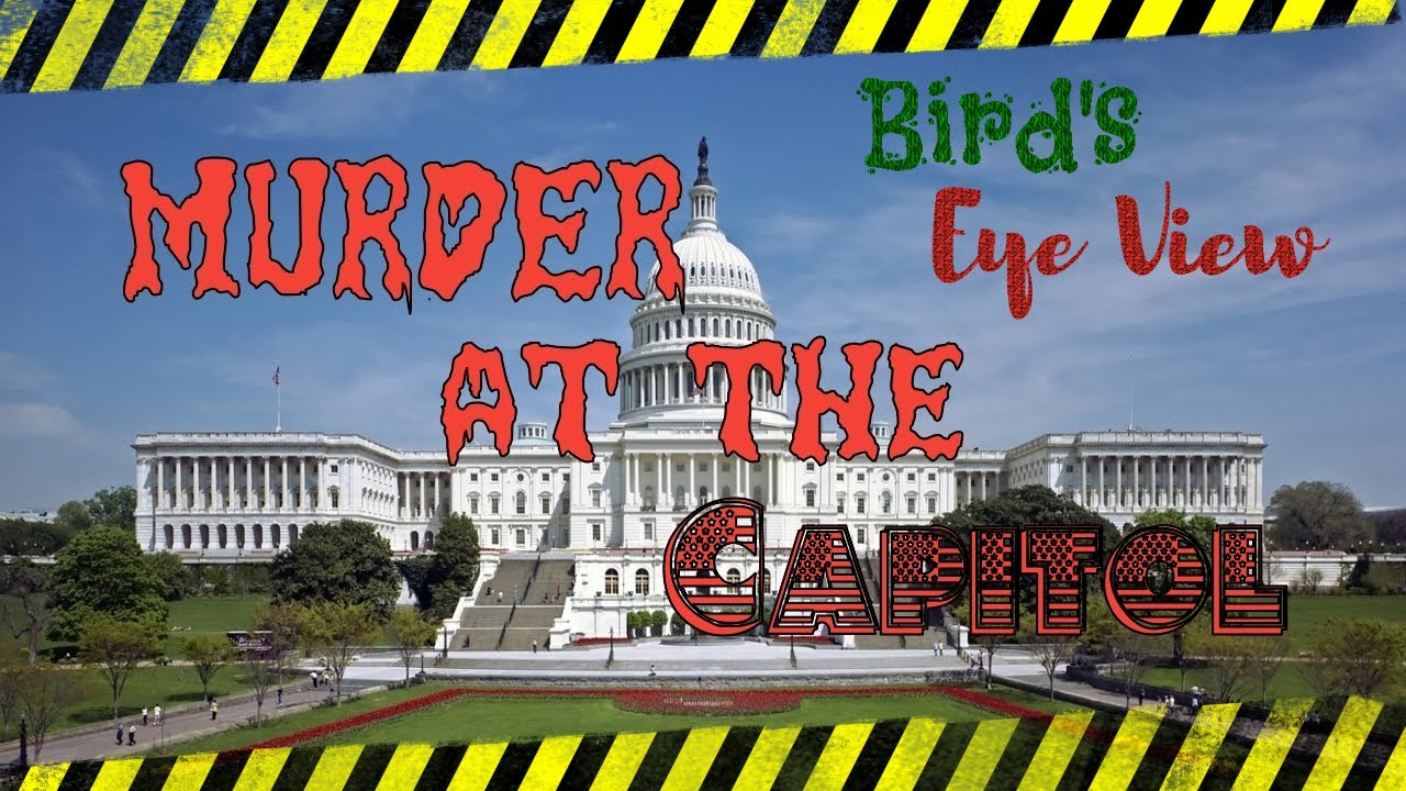 Capitol Chaos: An Inside Look At The Fatal Incident, was it justified ...