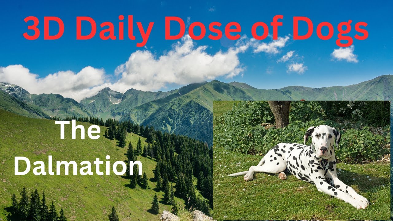 The Dalmation dog - YouTube