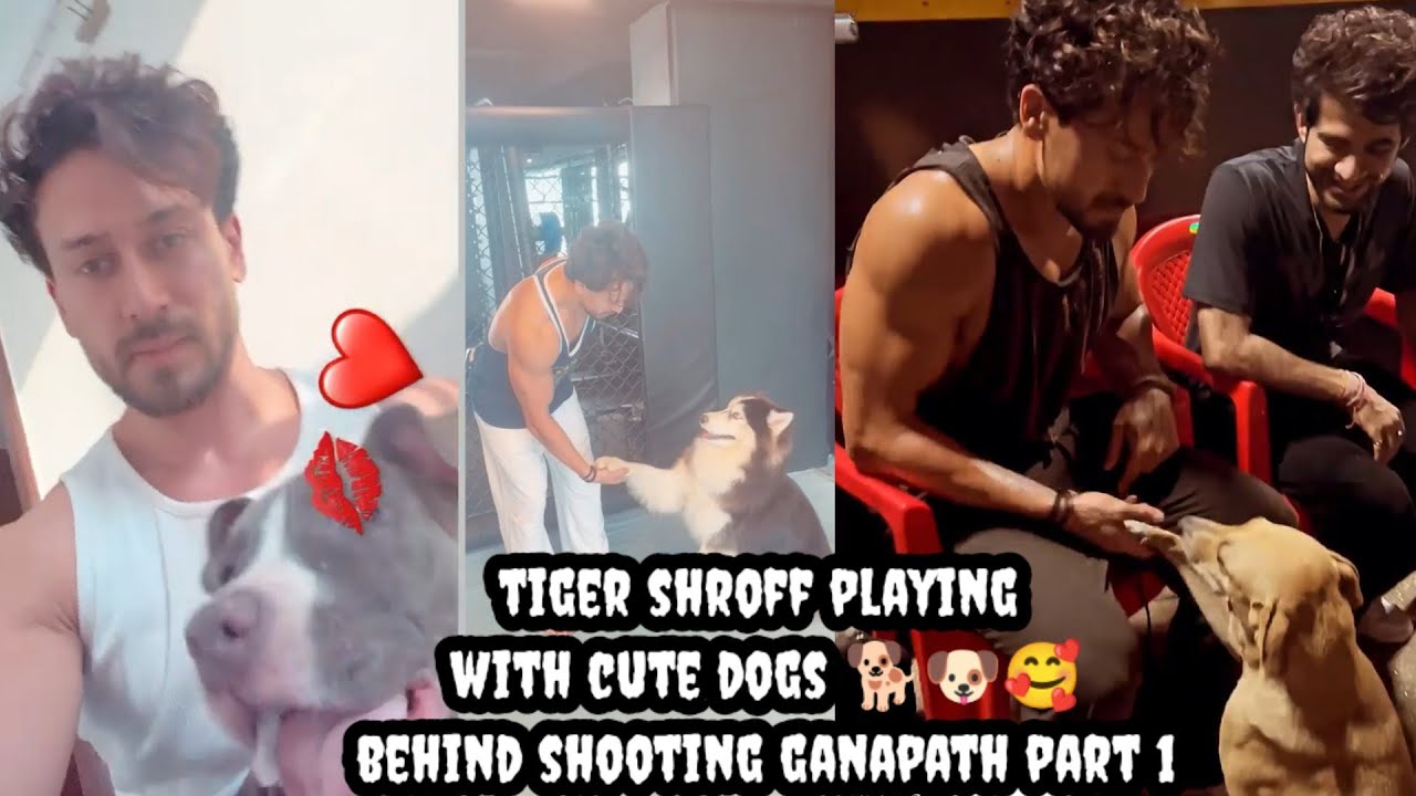 Tiger Shroff playing with cute dogs behind Ganpat part 1 shooting💫With ...