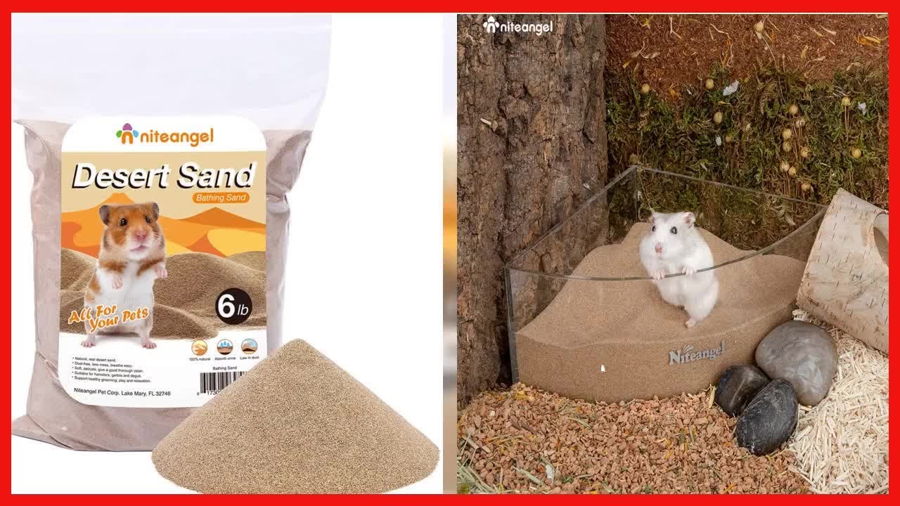 Niteangel Hamster Desert Bath Sand No Dust Bath or Potty Litter Sand ...