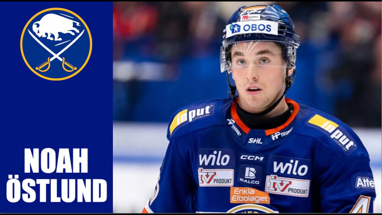 NHL Prospects : Noah Östlund - 23-24 Highlights - YouTube