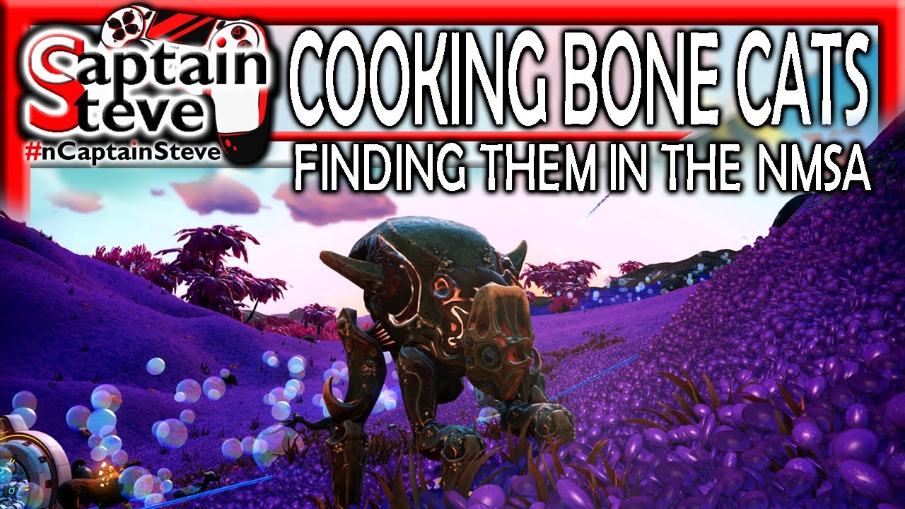 No Man's Sky Cooking In The NMSA Hub Live Captain Steve NMS Hunting For ...