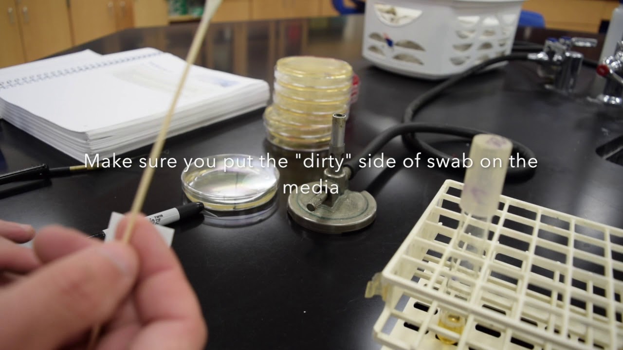 Lab 1.1 & 1.2 Demo - YouTube