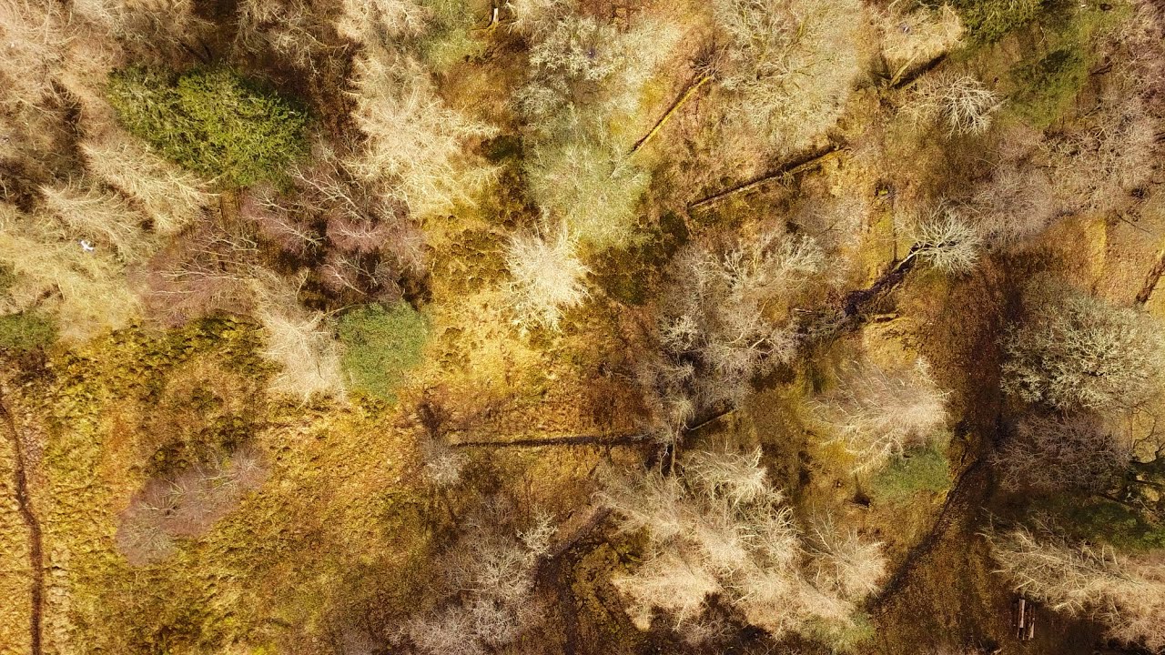 Lomond Campbell - Draw Breath - YouTube