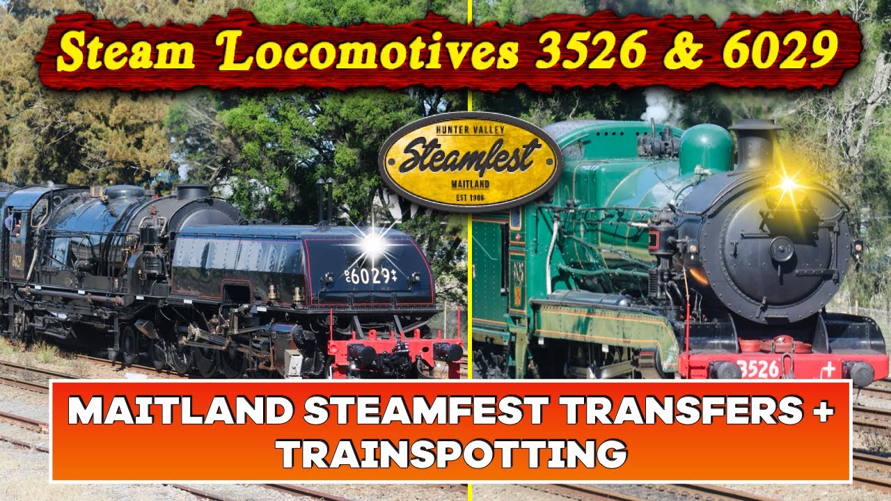 Steam Locomotive 3526 & 6029 - Maitand Steamfest Transfers ...