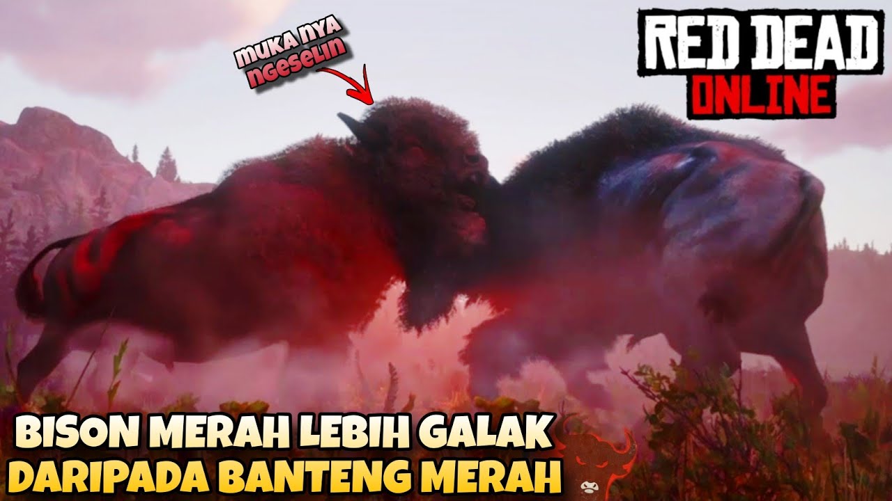 MENAKLUKKAN BISON MERAH YANG MENGAMUK !!! - Rdr Online - YouTube