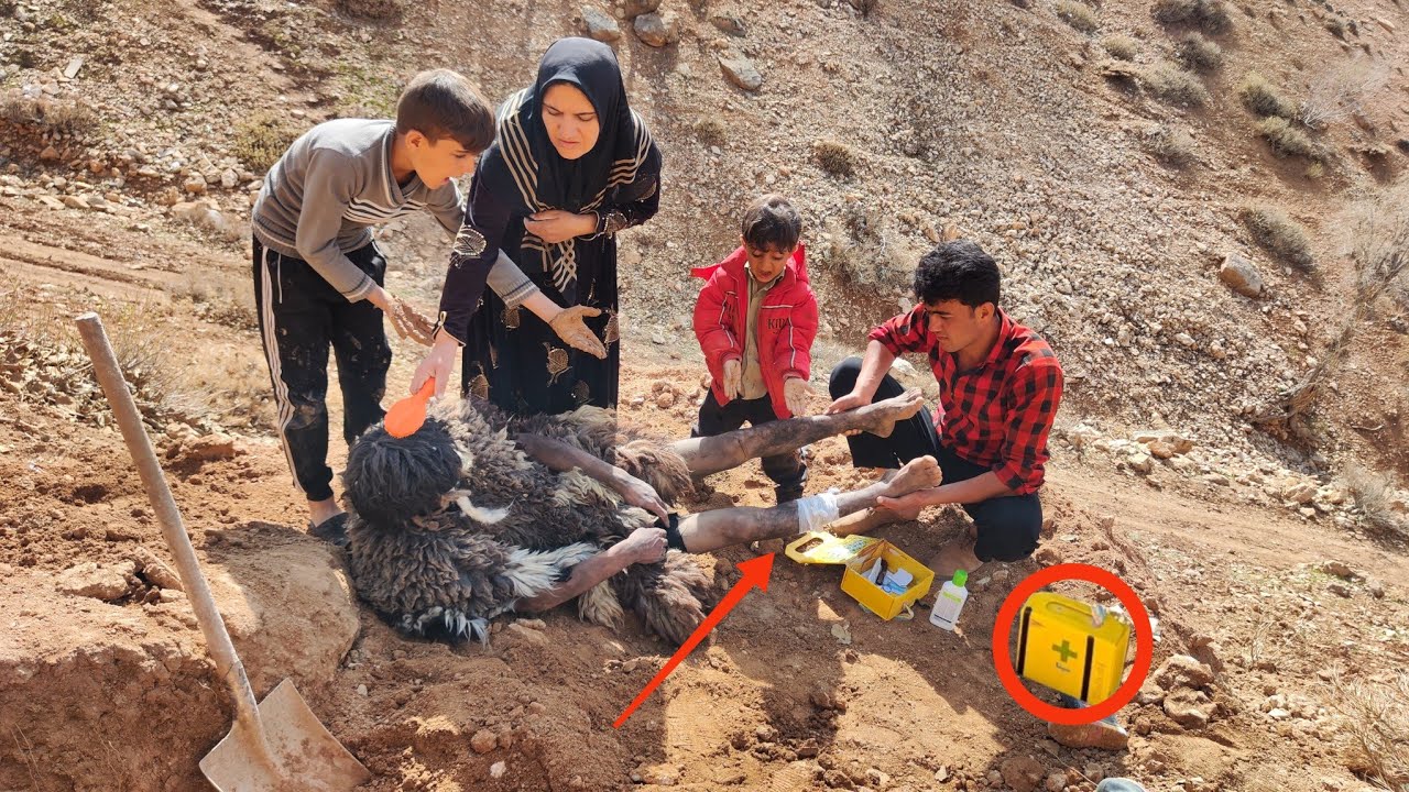 "Treating the Mountain Giant: Dressing the Giant's Foot Wound by ...