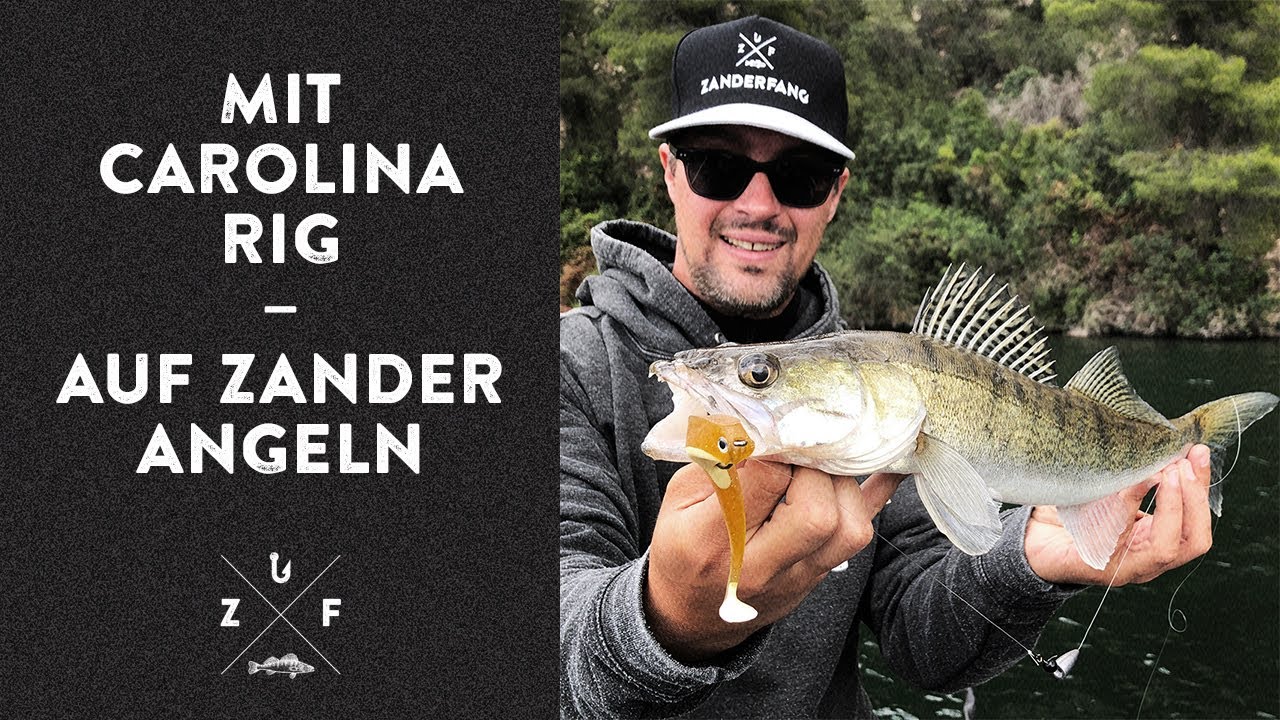 Mit Carolina Rig auf Zander angeln - YouTube