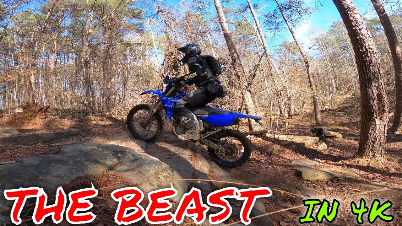 The Best Single Track in Alabama ( THE BEAST ) - YouTube