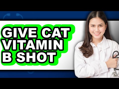 How to Give Cat Vitamin B Shot (Full Guide)