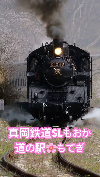 4Kshorts「SLもおか」2024🌸道の駅もてぎ通過！ [Moka railway] Steam locomotive class C12 'SL Moka' in spring 2024 ...