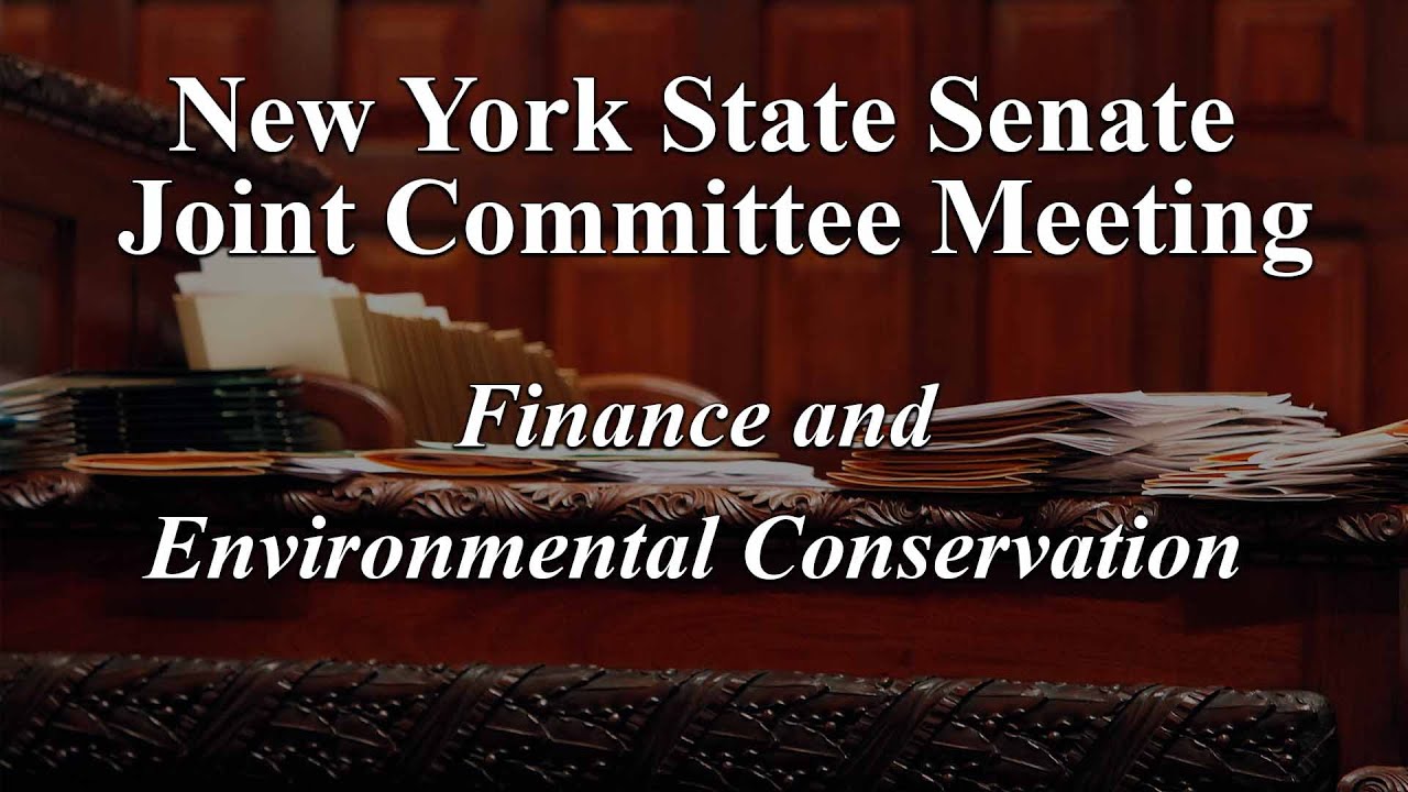 Joint Senate Standing Committee Meeting - 05/27/25 - YouTube