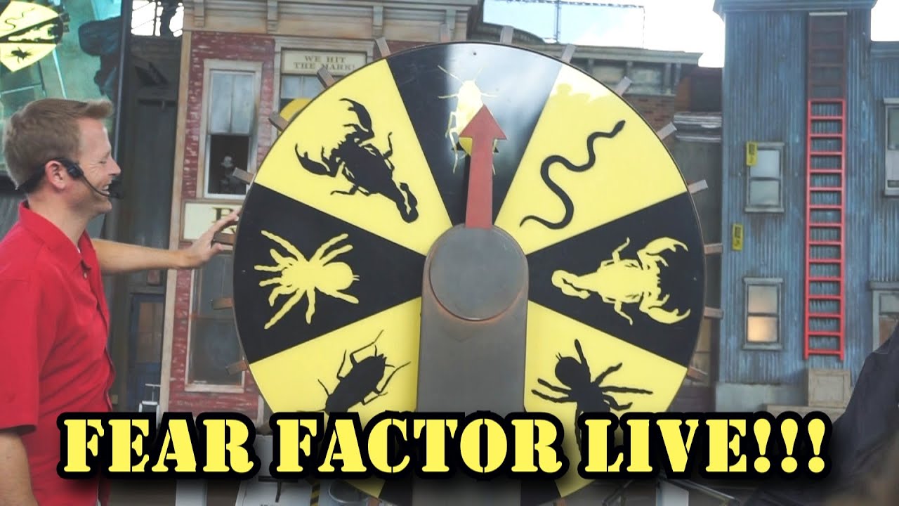 EATING BUGS AT FEAR FACTOR LIVE - YouTube